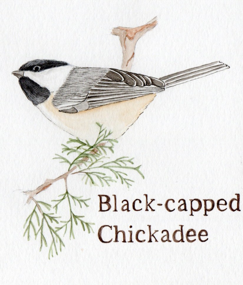 My Winter Nature Journal: Simple and Perfectly Imperfect – The Heron ...